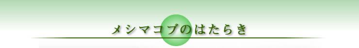 メシマコブのはたらき